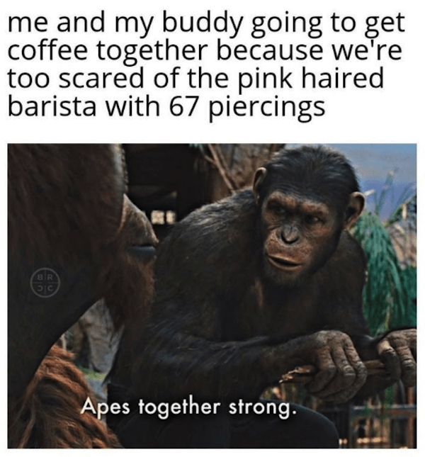 Coffee memes to go with... Well, your coffee, what else?