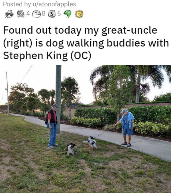 Dogs and memes go together like peanut butter and... Well, dogs