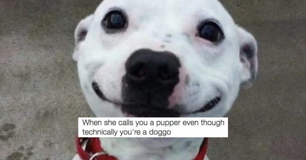 theCHIVE - Funny Pictures, Photos, Memes & Videos – theCHIVE.com