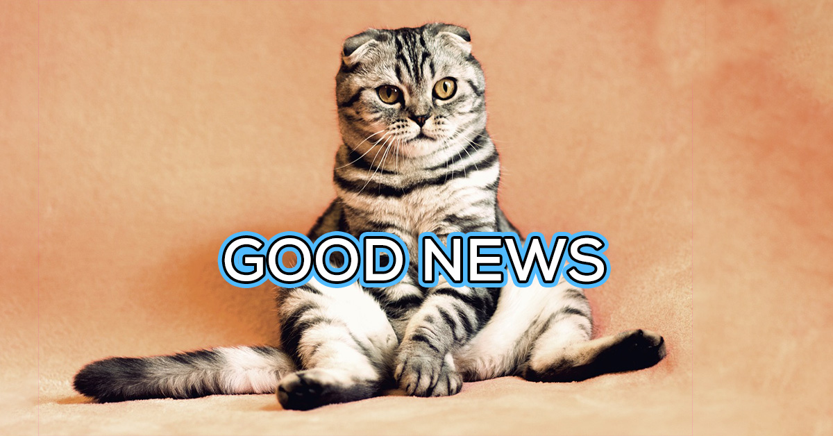 Sh!tty day? How about some good news PLUS cute animals?