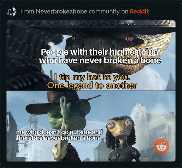 Skeleton memes to get us in the halloween spirit