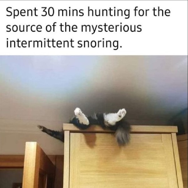 These memes are funny, but they have a streak of kindness in them