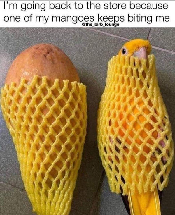 These memes are funny, but they have a streak of kindness in them