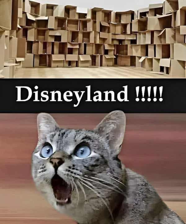 These memes are funny, but they have a streak of kindness in them