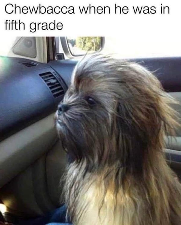 These memes are funny, but they have a streak of kindness in them