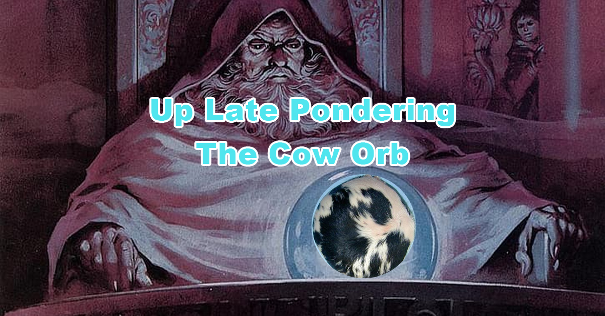 Would You Touch The Cow Orb?