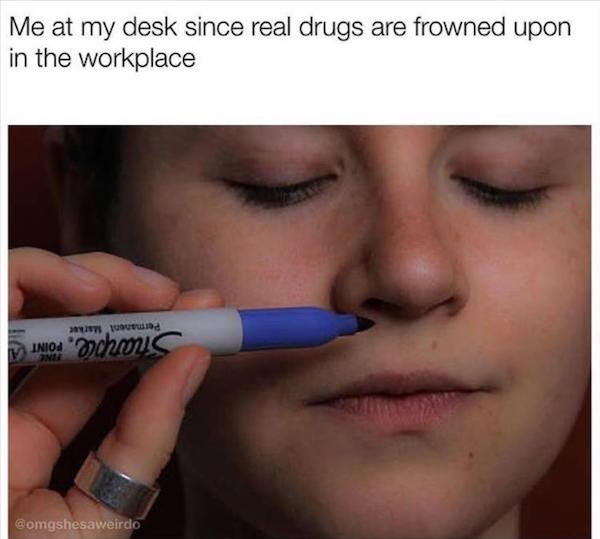 Logic-LESS Memes WTF Stupid Thoughts with Strange Truth Captions