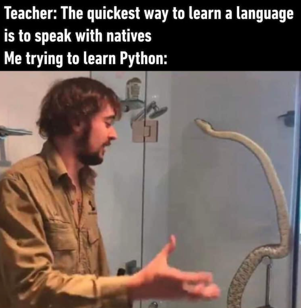 Mind-LESS Memes for Tuesday Sucks Funny Pick Me Up Best Photo Captions