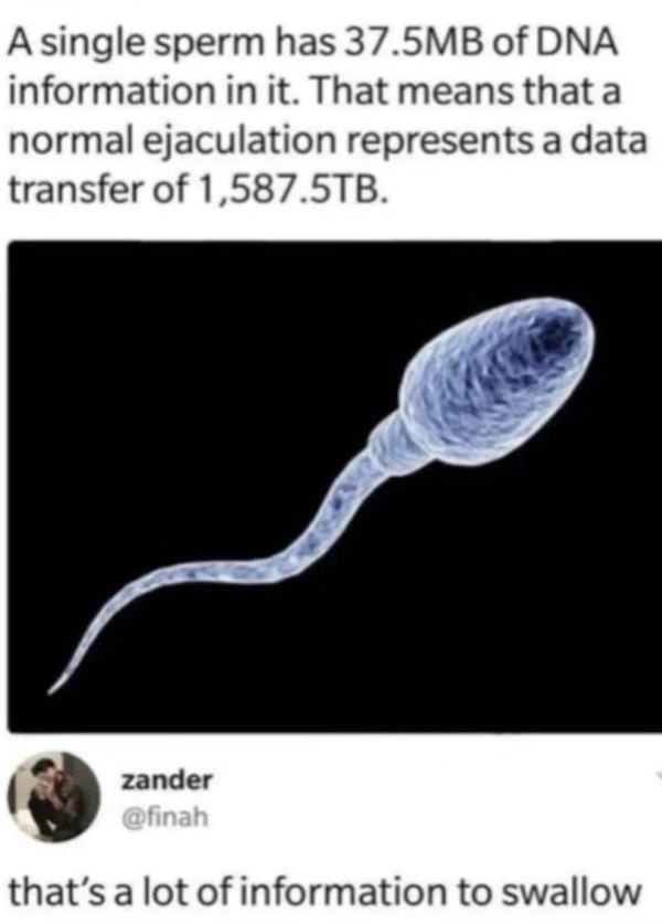 Mind-LESS Memes Stupid Funny Logic Photo Caption 2023 New Pictures