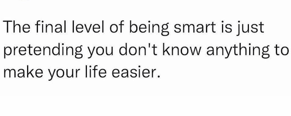 Mind-LESS Memes Stupid Funny Logic Photo Caption 2023 New Pictures