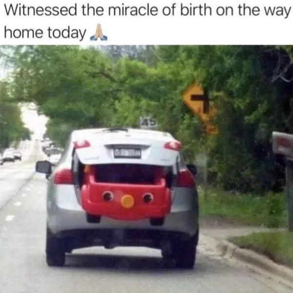 Mind-LESS Memes Stupid Funny Logic Photo Caption 2023 New Pictures