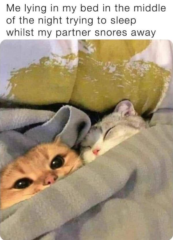 NAILed IT Memes of Mindless Dumb Shower Thoughts Logic Best Captions