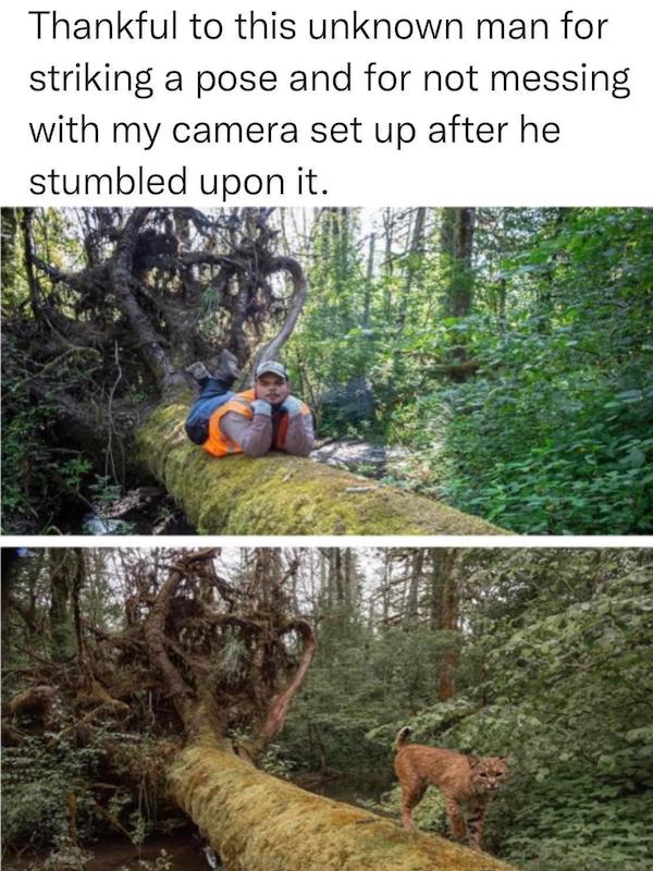NAILed IT Memes of Mindless Dumb Shower Thoughts Logic Best Captions