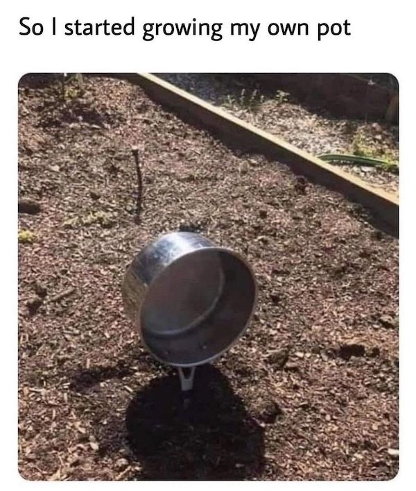 For those who love puns, we have the memes of your dreams