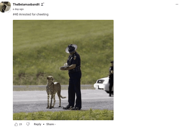 An enjoyable batch of silly comments straight from misfit minds