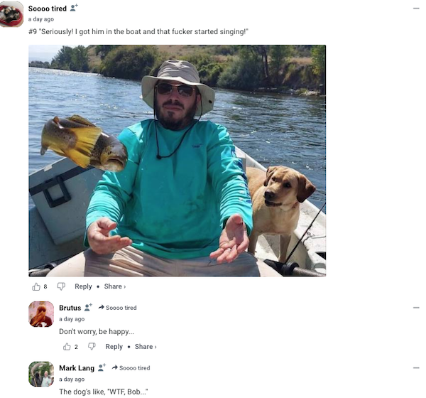 An enjoyable batch of silly comments straight from misfit minds