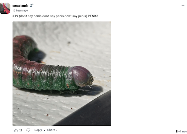 An enjoyable batch of silly comments straight from misfit minds