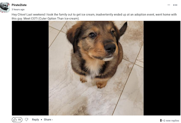 An enjoyable batch of silly comments straight from misfit minds