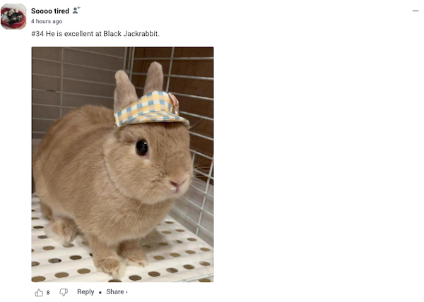 An enjoyable batch of silly comments straight from misfit minds