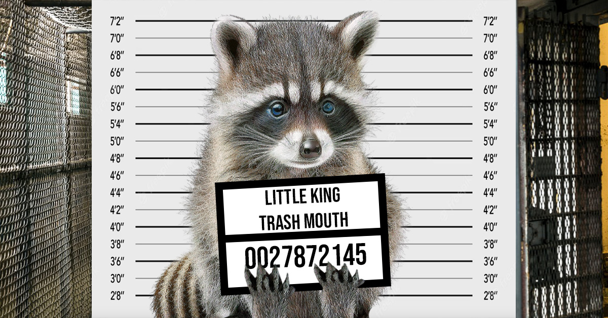 Thieving animals are absolutely adorable