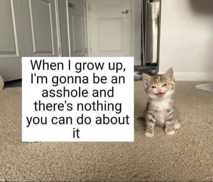 Cat Saturday Says Meow!