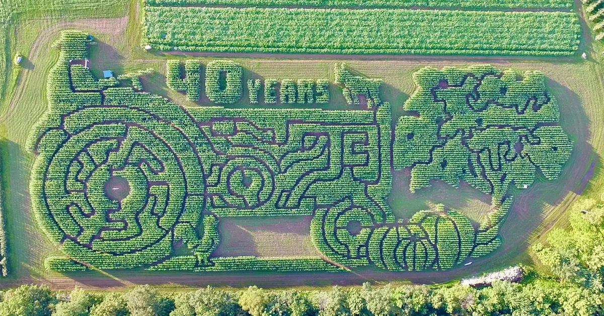 theCHIVE - Funny Pictures, Photos, Memes & Videos – theCHIVE.com