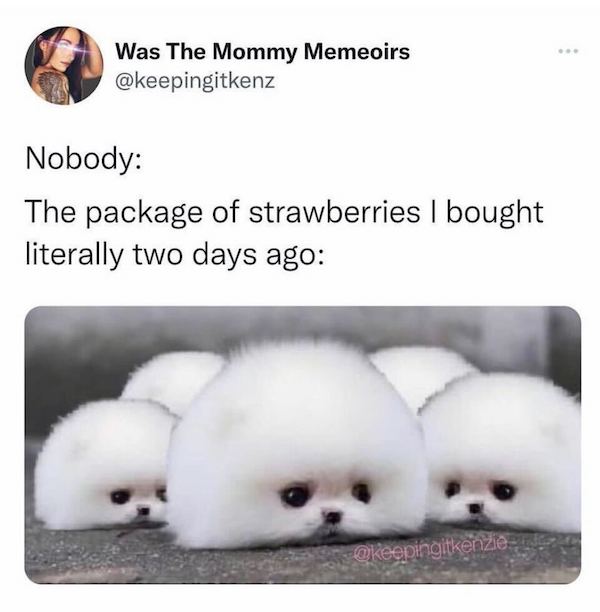 Get these tasty memes In. My. Belly. (30 Photos)