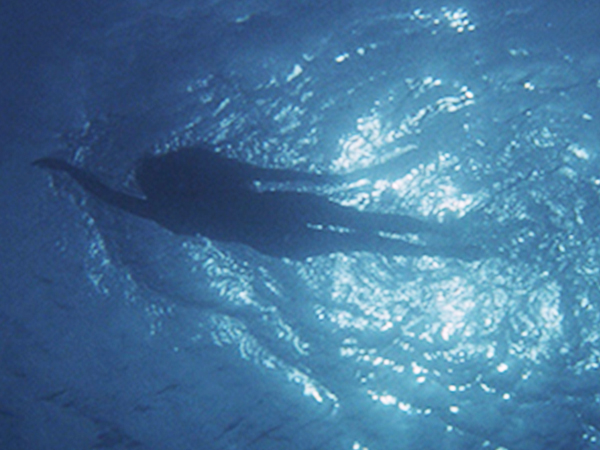 These breathtaking movie scenes are cinematic perfection (20 Photos)