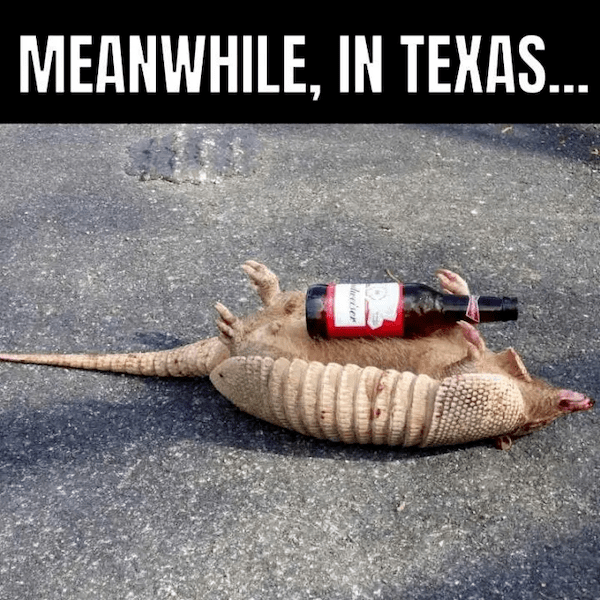 Texas memes prove that no one does it quite like the Lone Star state