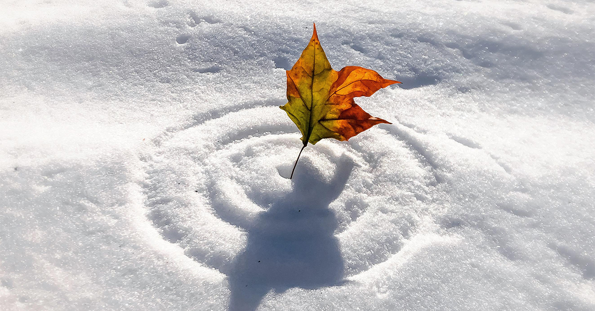 Beautiful Pictures | Pretty Pics - theCHIVE