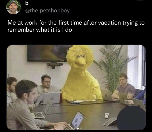 Jokes to point and laugh at, it's not mean that's what they're for