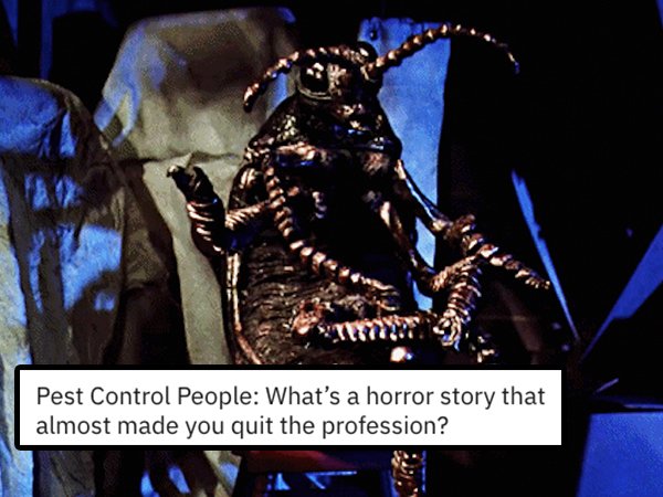 Horror stories from the pest control industry