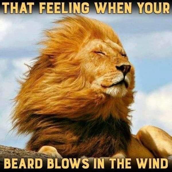 Just a Fist Full of Man Things