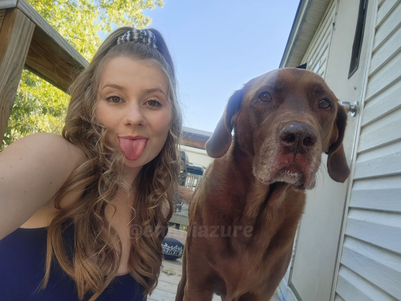 It’s a Dog’s World, and We Love It