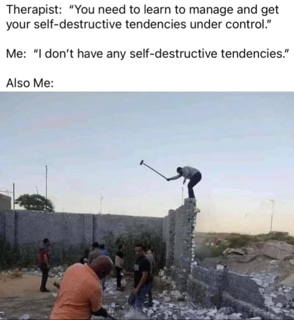 NAILed IT Memes of All the Mindless Dumb Logic Best Caption Pictures