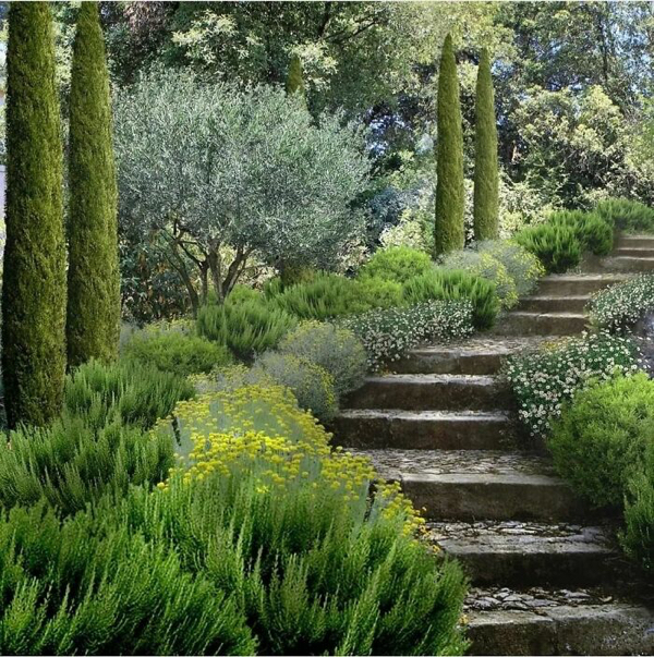 Luxurious landscaping that will inspire your inner gardener