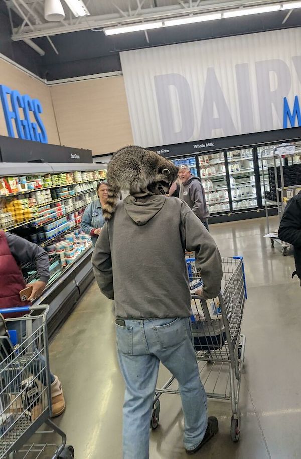 Truly weird and wild sights seen only at Walmart