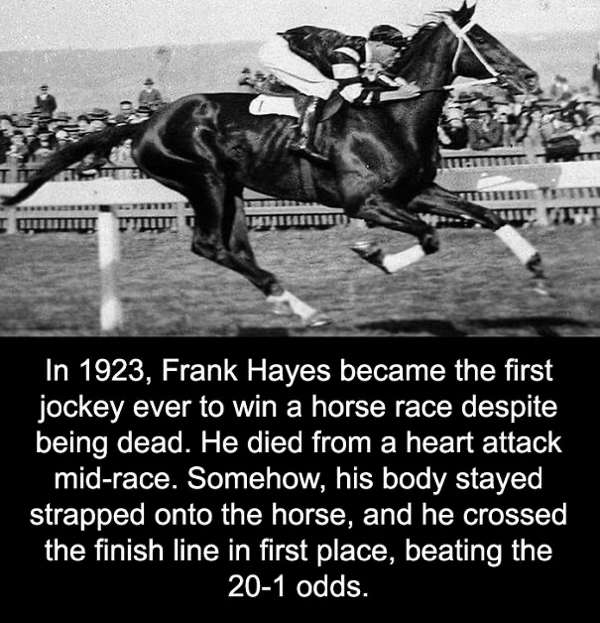 Random facts to expand your brain with