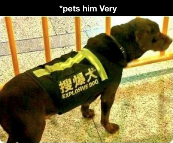 Cheesy Memes Funny Monday Work Sucks Captions Best New 2023 Pictures