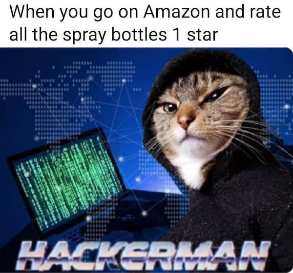 Cheesy Memes Stupid yet Funny Mornings Photo Captions Best List 2023