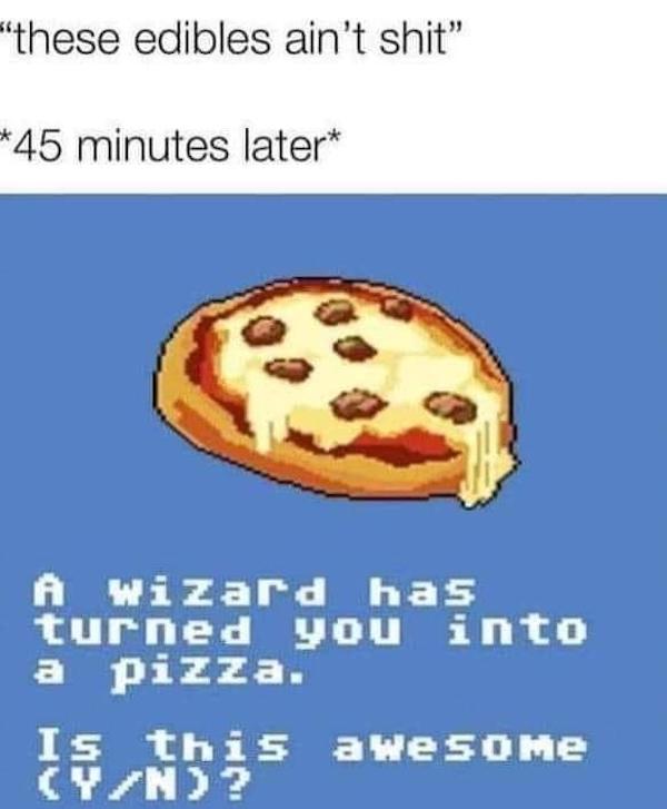 Cheesy Memes Stupid yet Funny Mornings Photo Captions Best List 2023