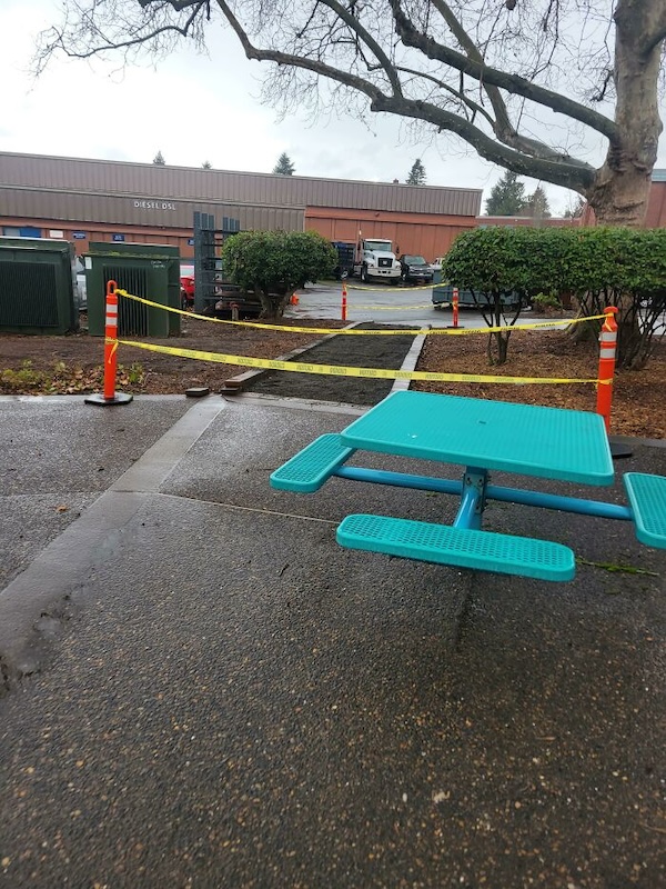 Human's LOVE Desire Paths