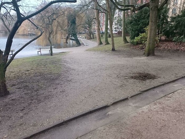 Human's LOVE Desire Paths