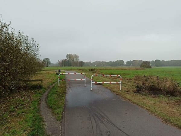 Human's LOVE Desire Paths