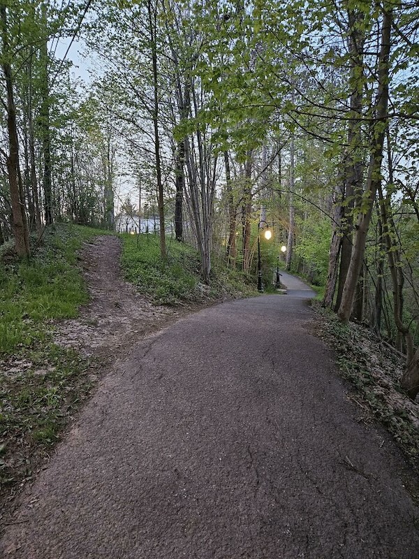 Human's LOVE Desire Paths