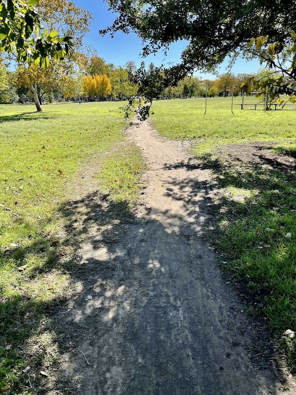 Human's LOVE Desire Paths