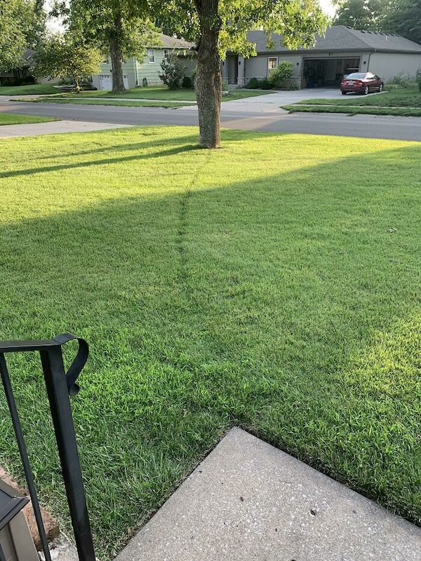 Human's LOVE Desire Paths
