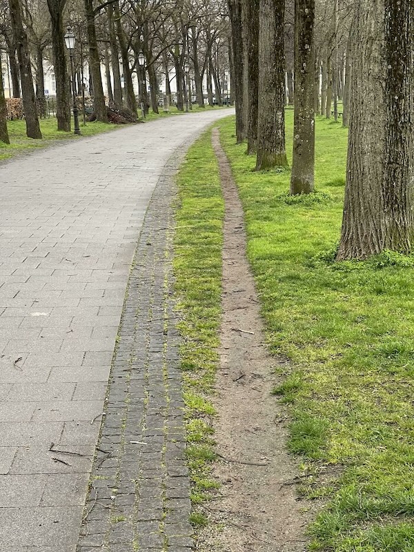 Human's LOVE Desire Paths