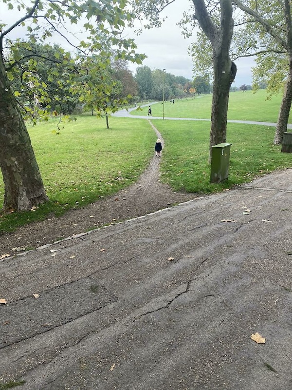 Human's LOVE Desire Paths