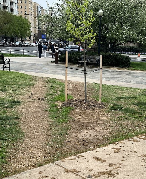 Human's LOVE Desire Paths